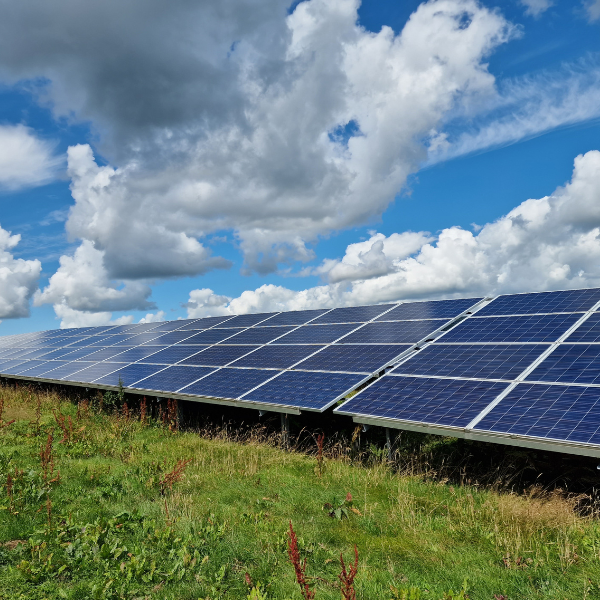 Ethical Power NZ forms alliance with New Energy